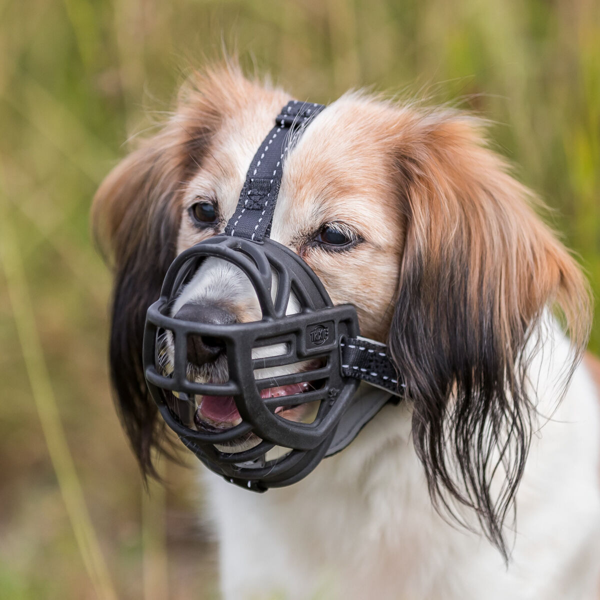 Maulkorb Muzzle Flex – TRIXIE Heimtierbedarf GmbH & Co. KG